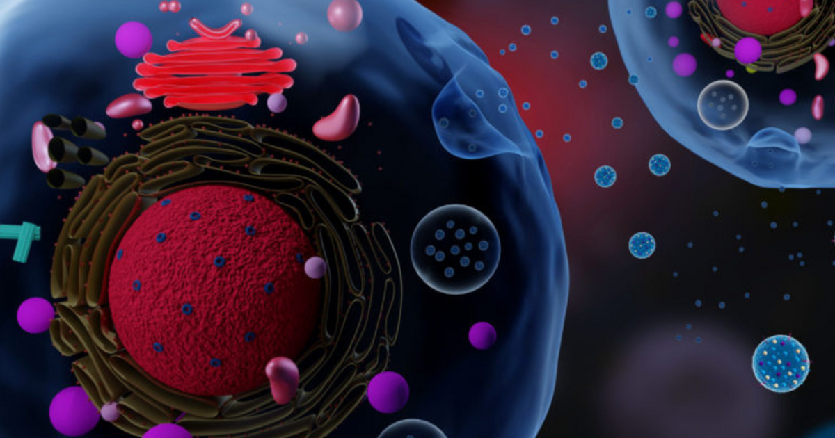 What is Exosome Banking and Why Should I… | Americord Registry