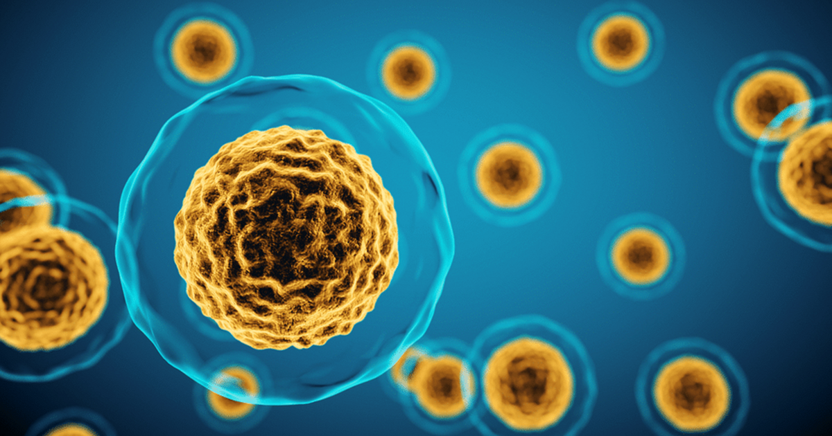 Americord Releases Exosome Banking with… | Americord Registry