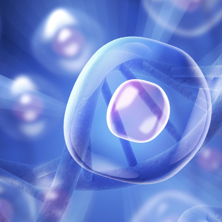 HSCs and MSCs: What is the Difference? | Americord Registry