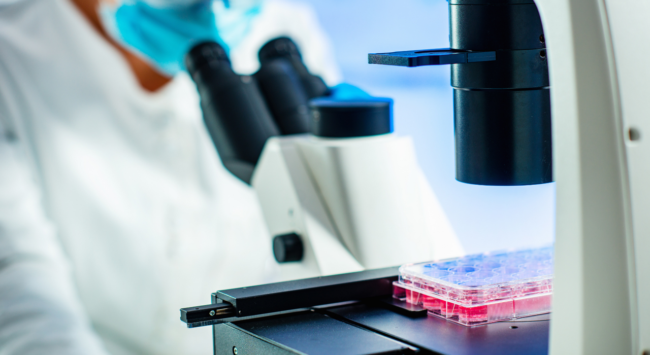 How Stem Cells Are Changing Drug Development | Americord Registry