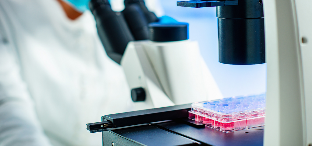 How Stem Cells Are Changing Drug Development | Americord Registry