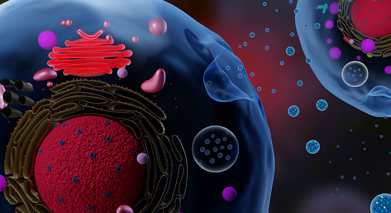 Americord Releases Exosome Banking with… | Americord Registry