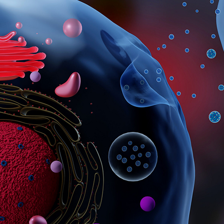 Americord Releases Exosome Banking with… | Americord Registry