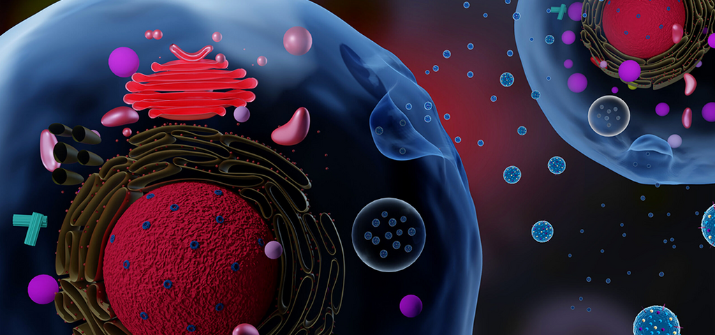 Americord Releases Exosome Banking with… | Americord Registry