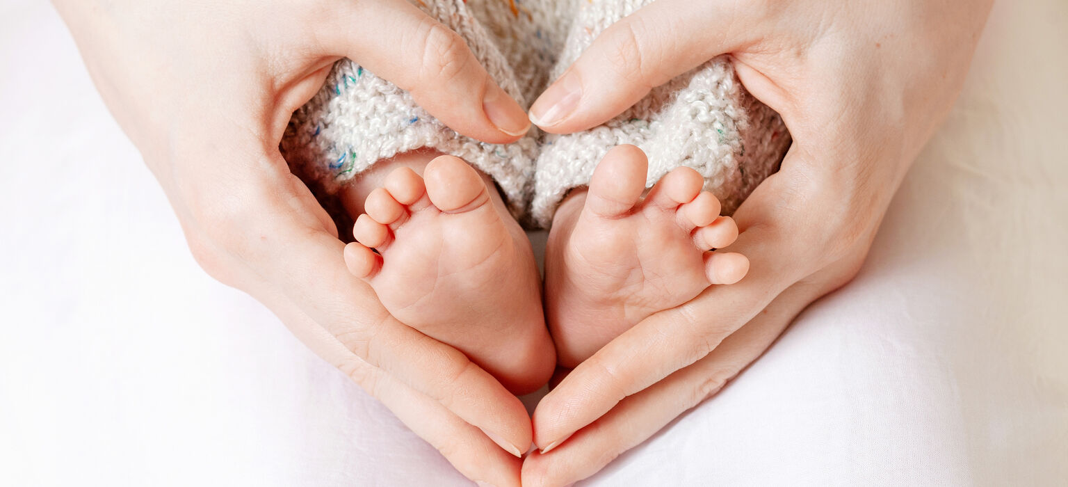 Three Trimesters of Pregnancy: Fetal Development… | Americord Registry