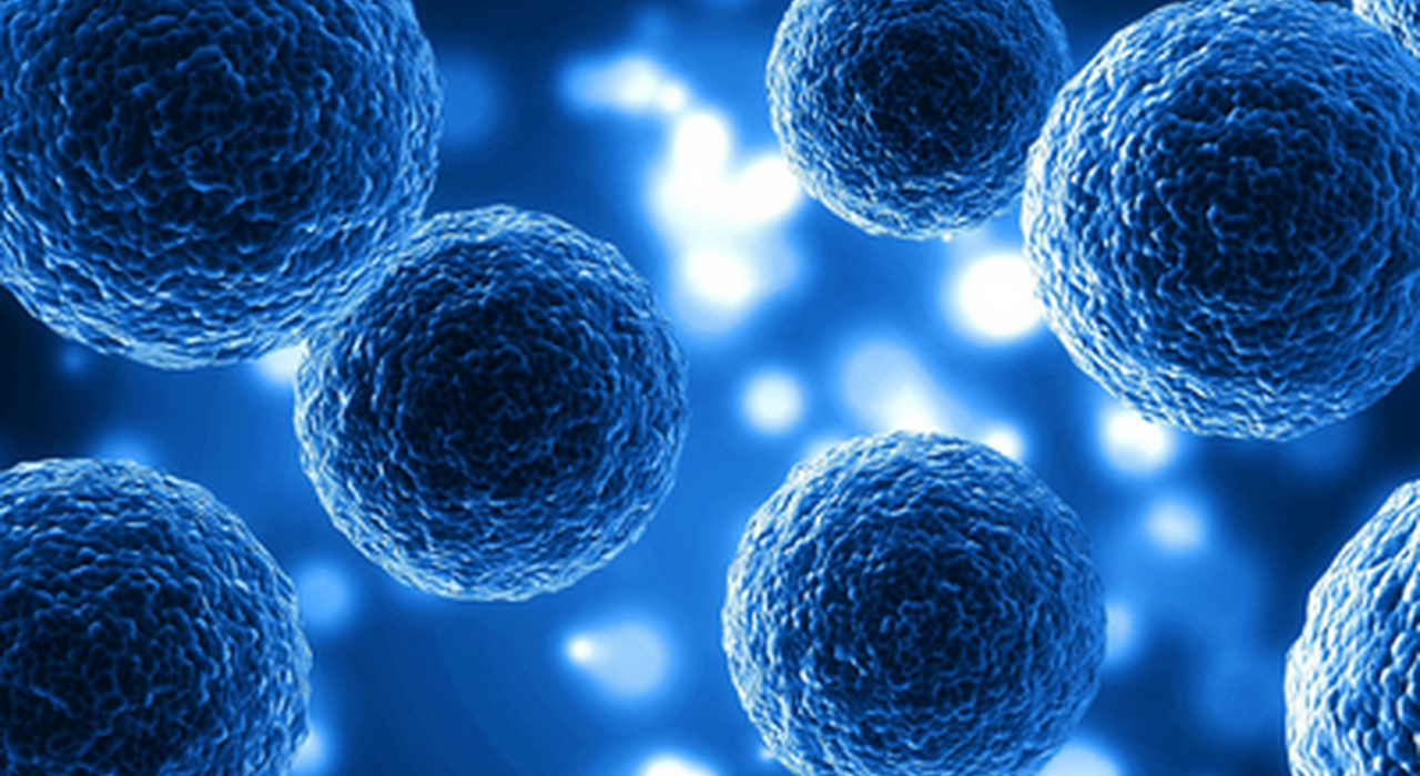 Cord Blood Banking: A Guide to the Basics and… | Americord Registry