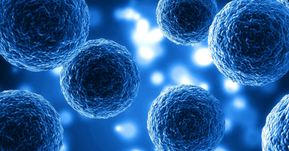 The Truth About Stem Cells | Americord Registry