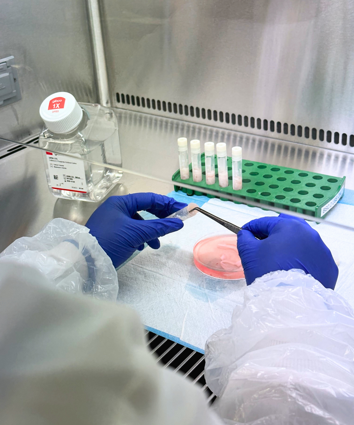 The #1 Parent Rated Cord Blood & Tissue Bank | Americord Registry