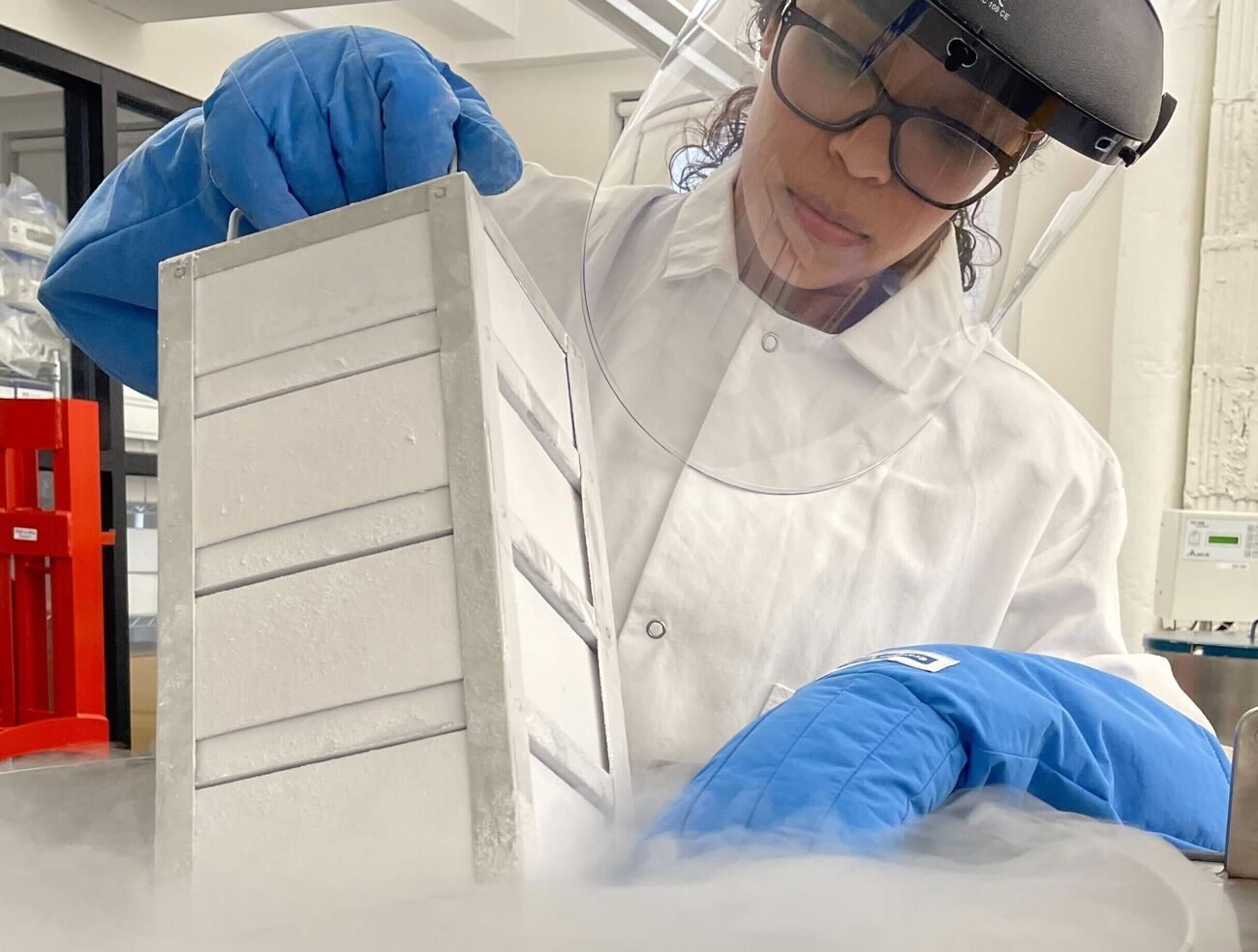 How Does the Collection Process Work? | Americord Registry